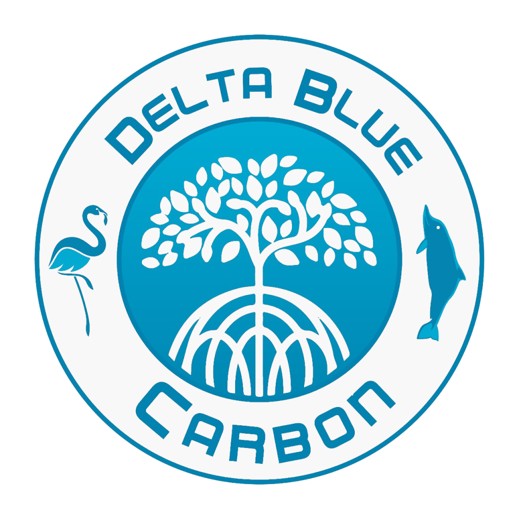 Climate – Delta Blue Carbon – Mangrove Restoration In Sindh