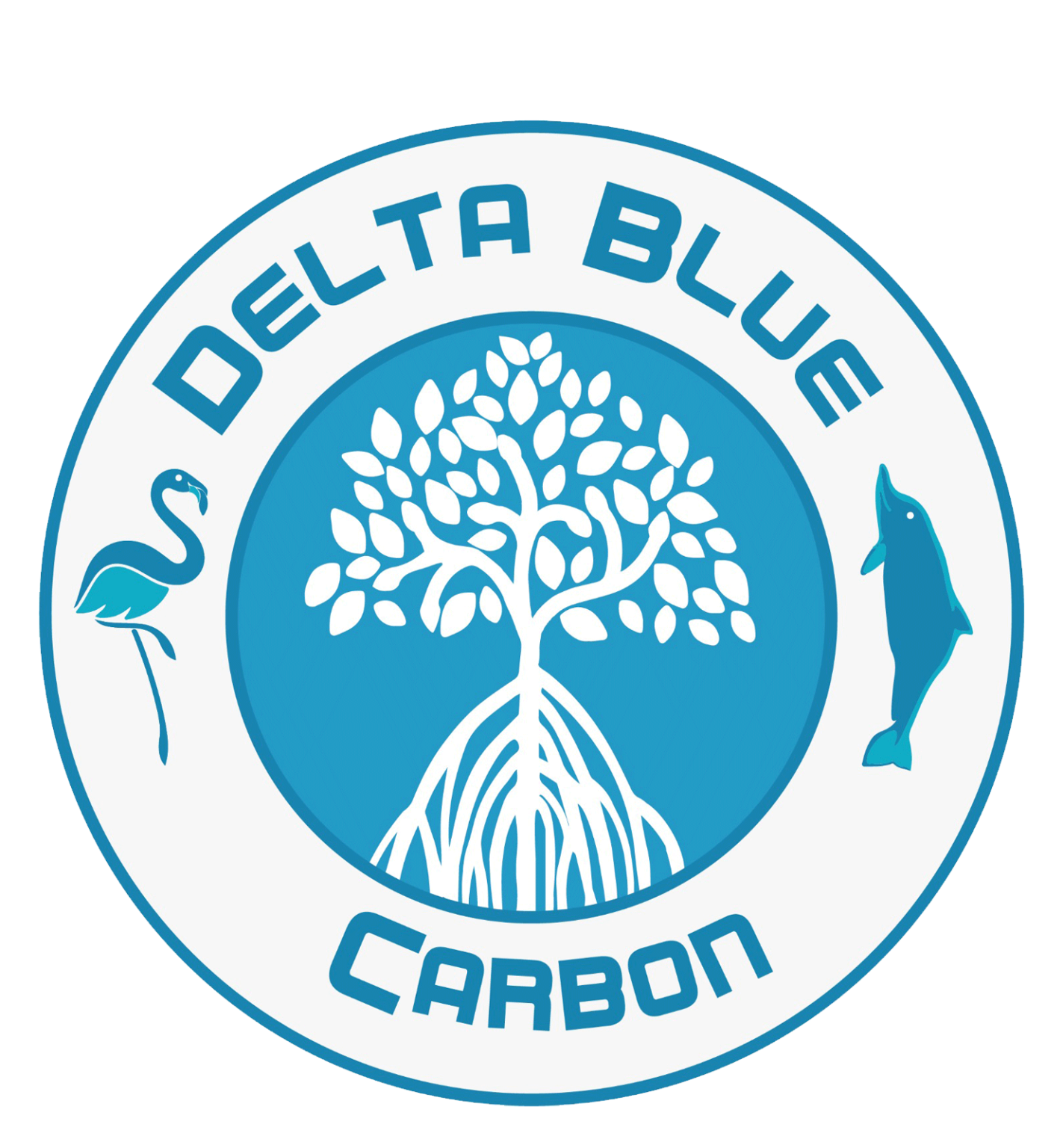 Document – Delta Blue Carbon – Mangrove Restoration In Sindh