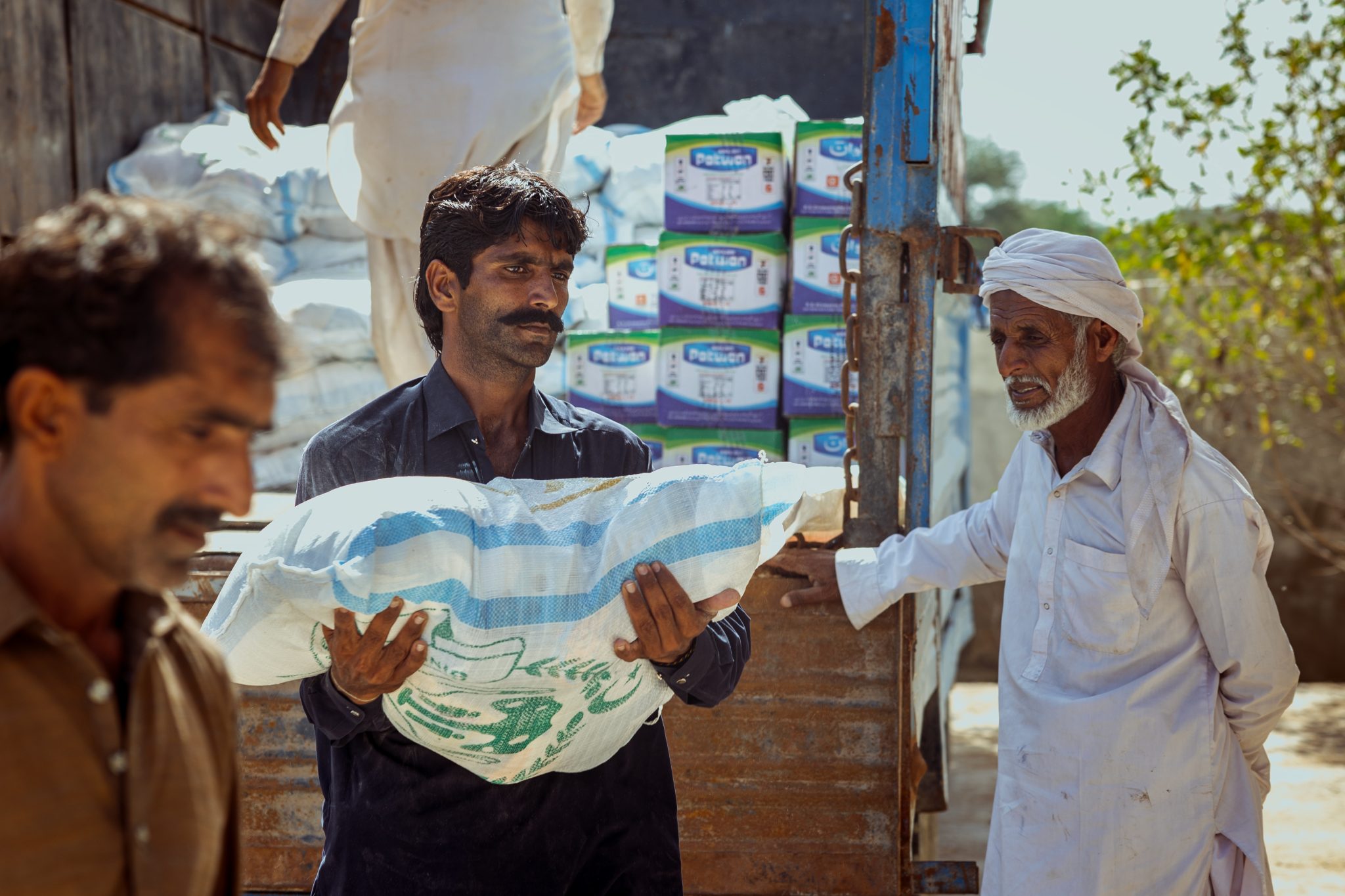 Delta Blue Carbon – Mangrove Restoration In Sindh – Delta Blue Carbon ...