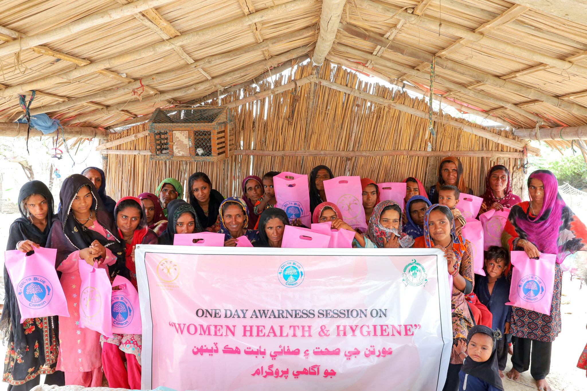 Delta Blue Carbon – Mangrove Restoration In Sindh – Delta Blue Carbon ...