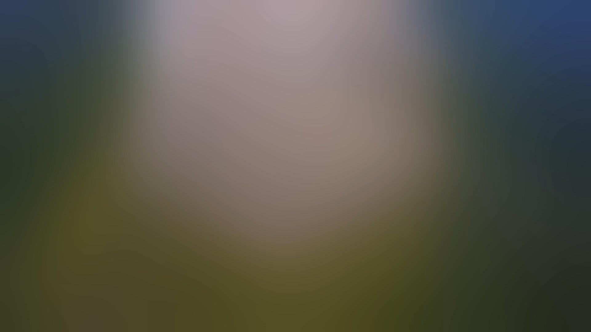 Delta Blue Carbon – Mangrove Restoration In Sindh – Delta Blue Carbon ...